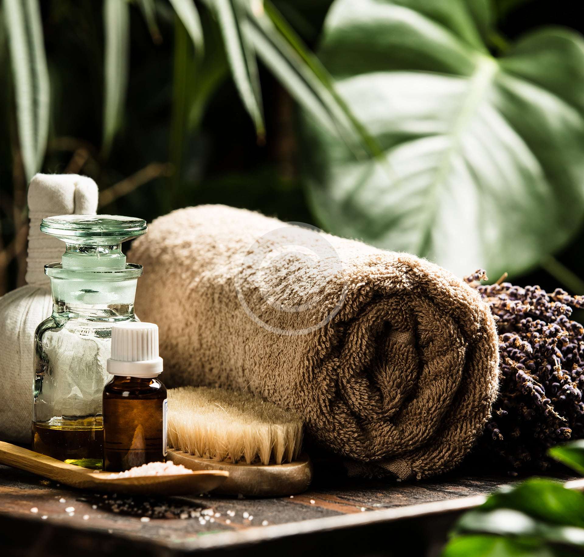 We provide premium SPA and therapeutic service - Physio M